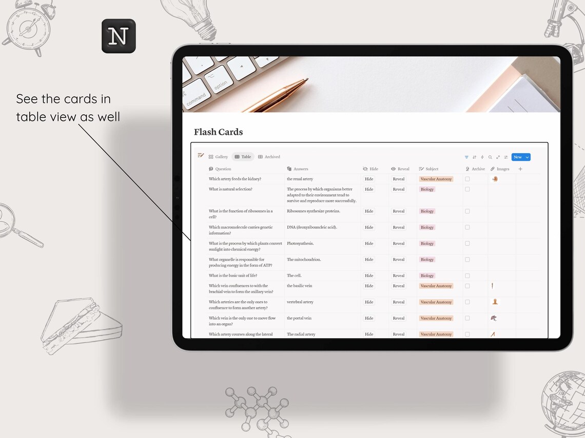 Notion Flashcard Template: Interactive Study Tool (digital Download - Etsy