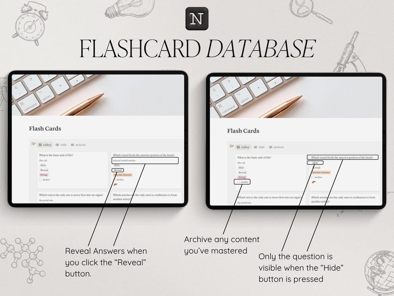 Notion Flashcard Template: Interactive Study Tool (digital Download - Etsy