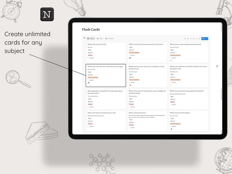 Notion Flashcard Template: Interactive Study Tool (digital Download - Etsy