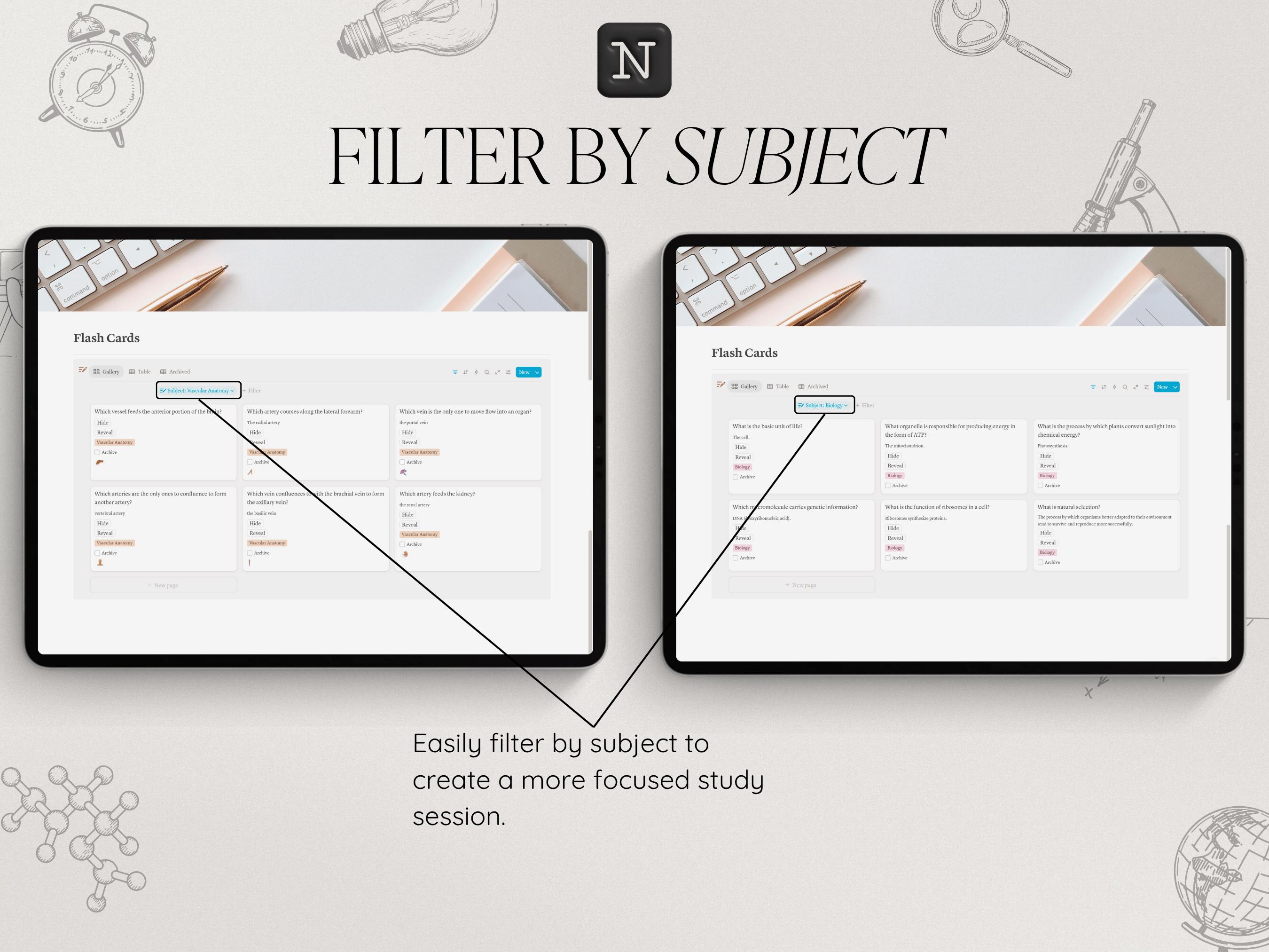 Notion Flashcard Template: Interactive Study Tool (digital Download - Etsy
