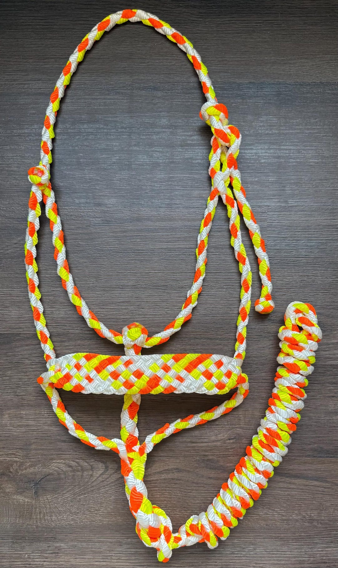 Candy Corn Cutie Mule Tape Horse Halter - Etsy