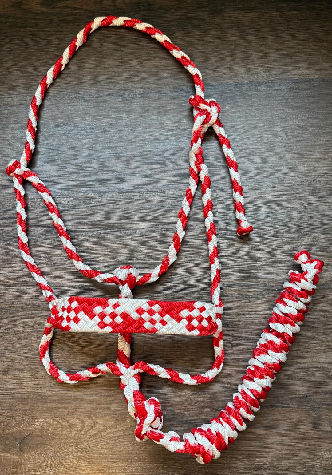 Peppermint Twist Mule Tape Horse Halter - Etsy