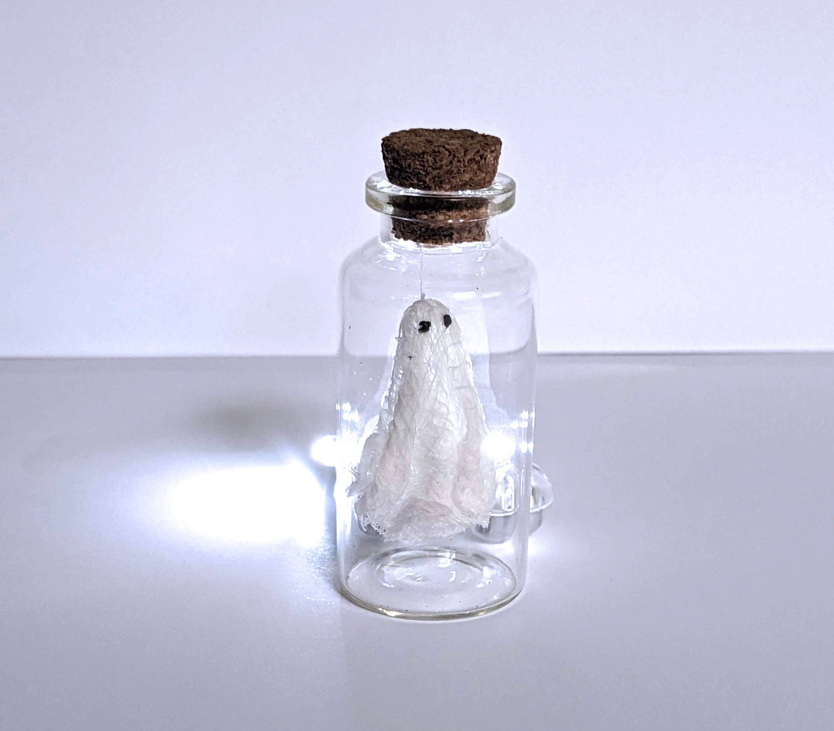 Wild Caught Ghost in A Jar, A Bottled Mini Ghost for Ghostly ...