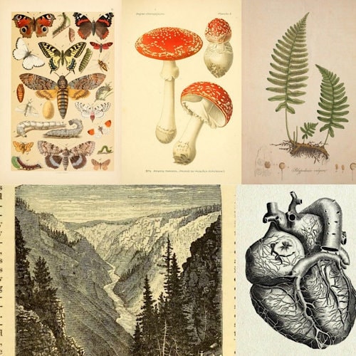 Vintage Aesthetic Posters Vintage Room Decor Fairy Grungechristmas ...