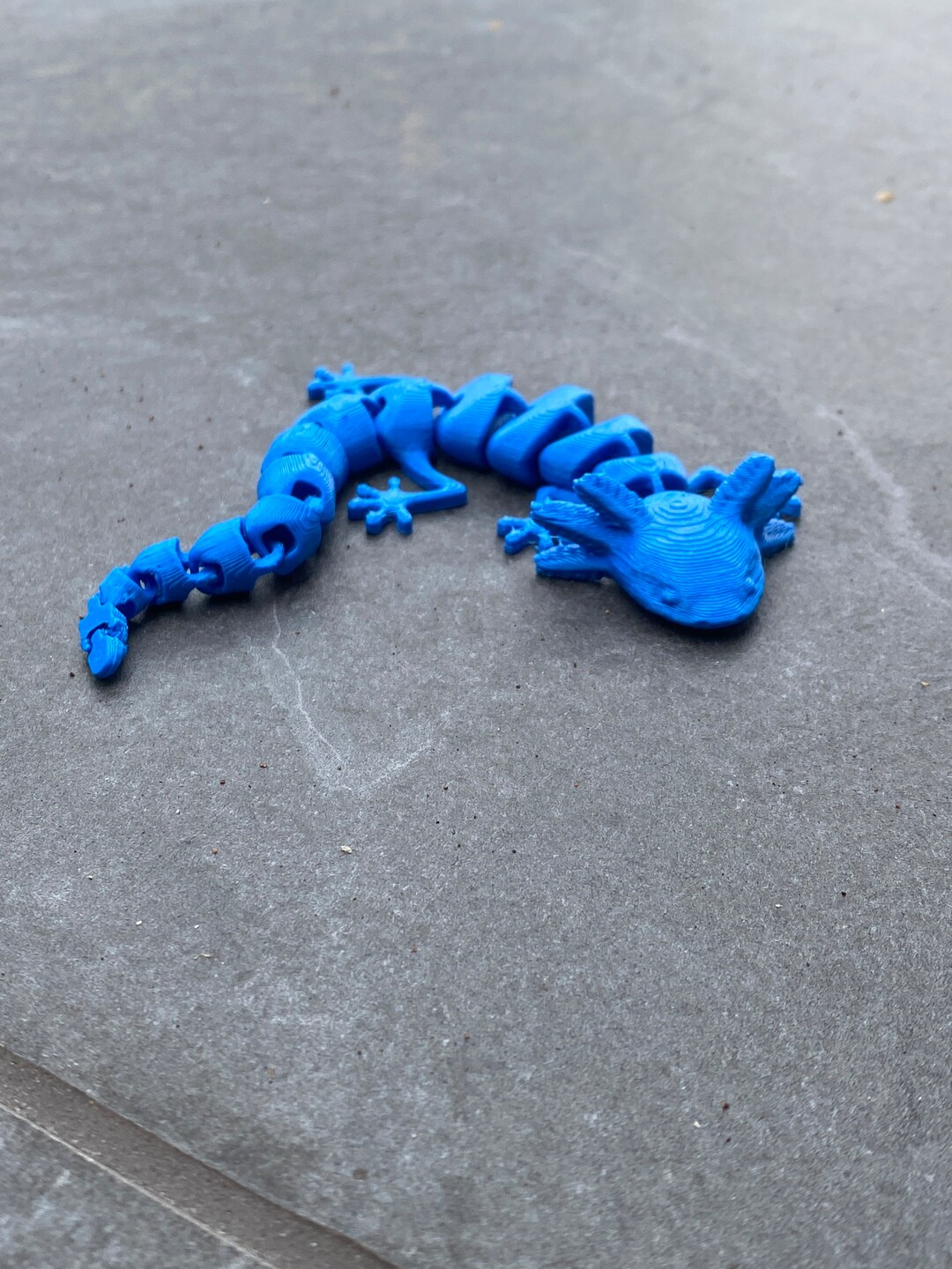 Axolotl Salamander Flexible 3D Print Articulated Fidgit - Etsy