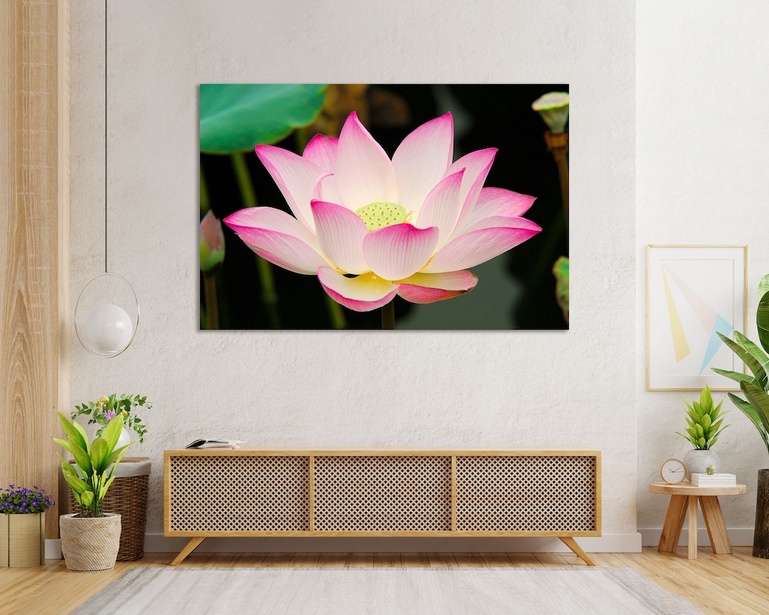 Lotus Flower Print Canvas, Lotus Plant Painting for Wall, Flowers ...