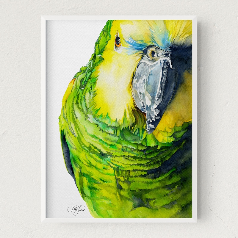 Parrot Watercolor - Etsy