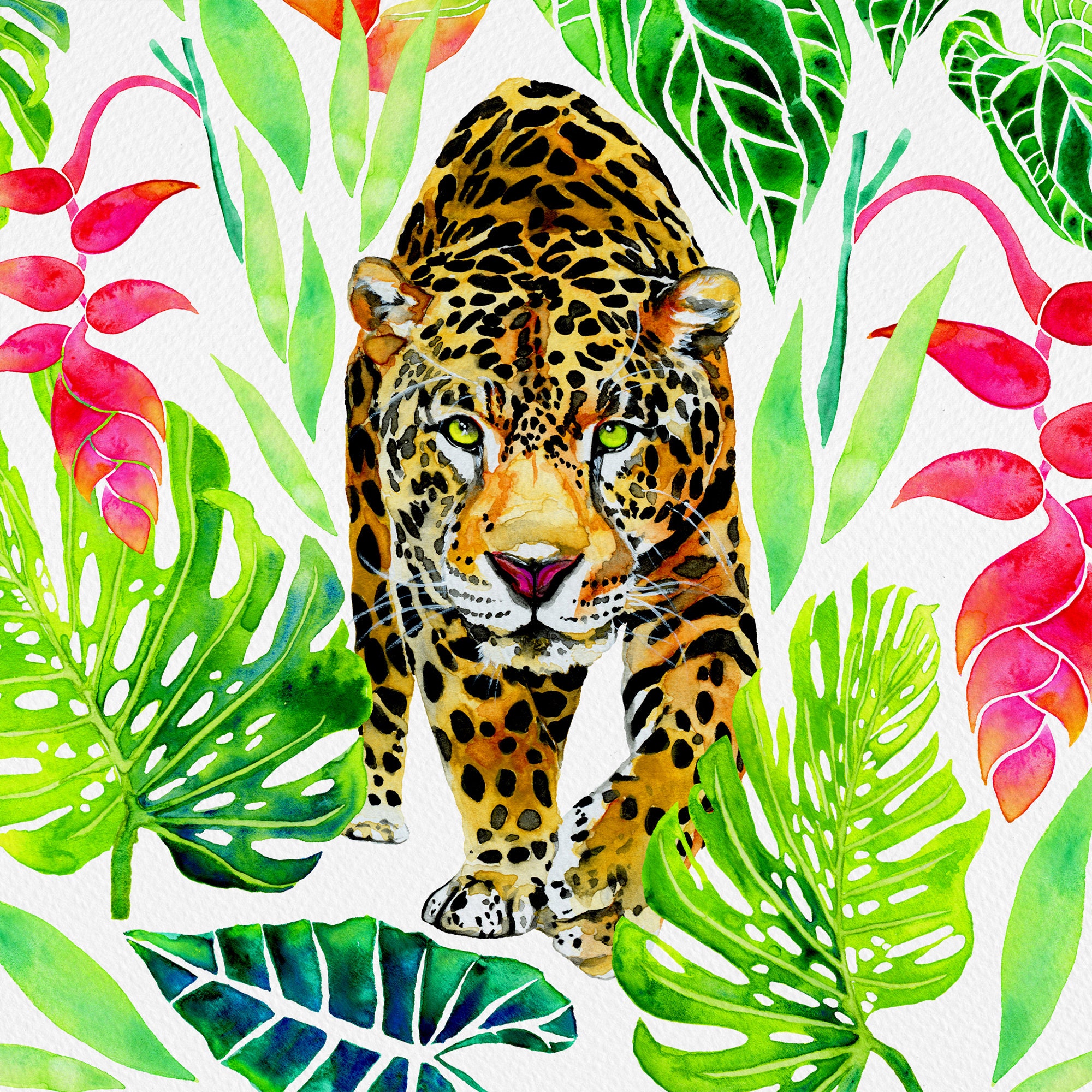 Jaguar Watercolor Art Print, Jaguar Illustration, Jungle Art Decor ...