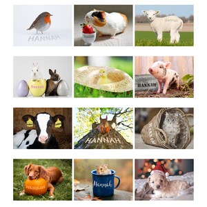 Personalised A4 Cute Animals Monthly Calendar - Start From Any Month ...