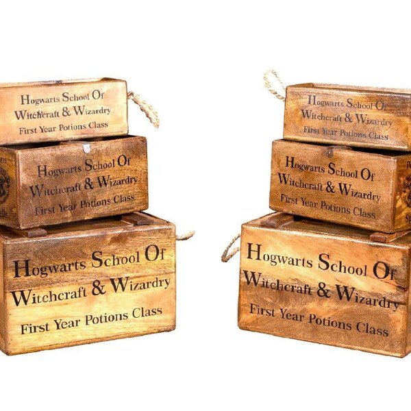 Wizarding Trunk Potions - Etsy