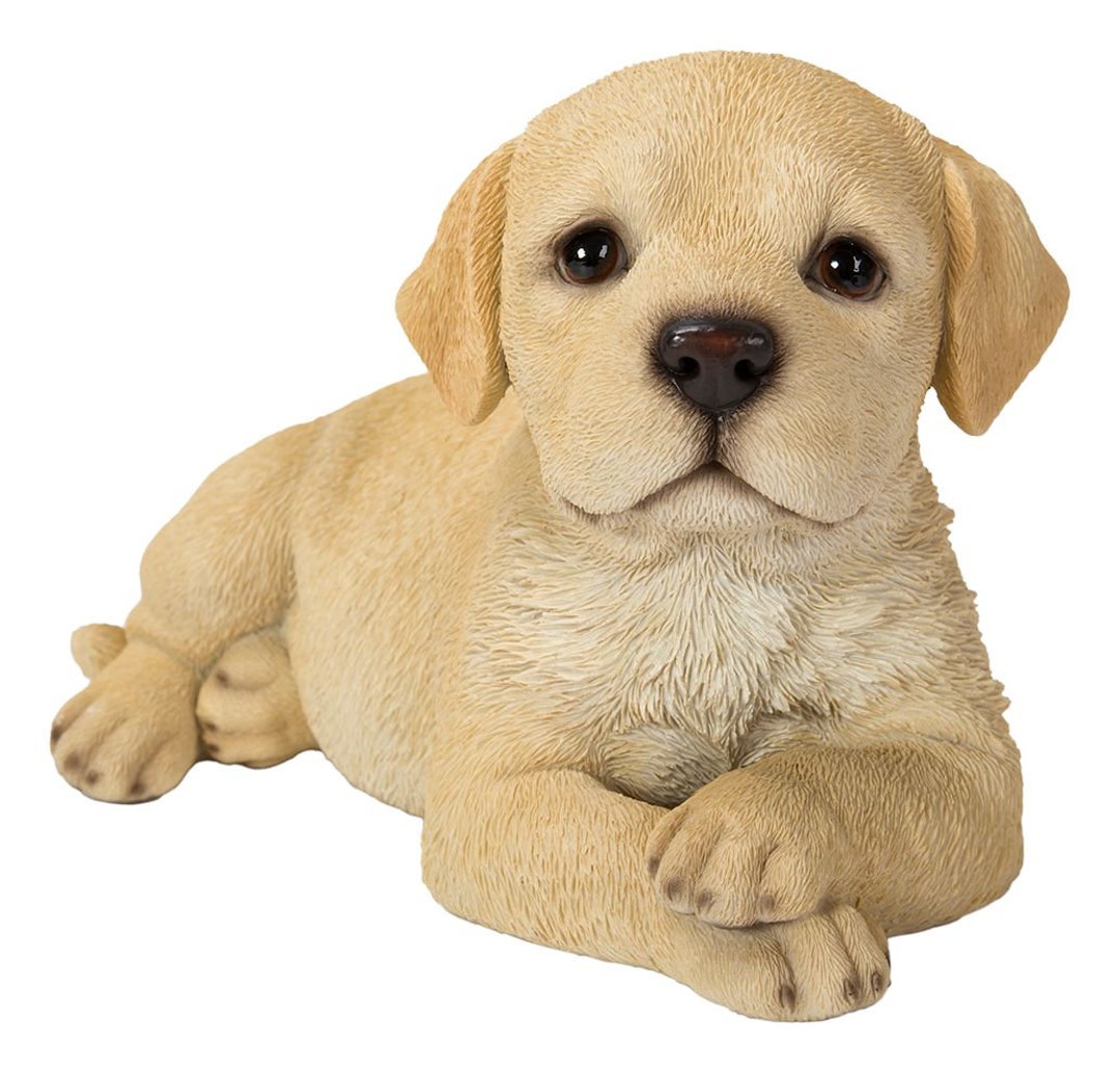Vivid Arts Golden Labrador Laying Pup Resin Garden Ornament Sculpture ...