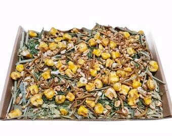 Rat Dig Box | Etsy UK