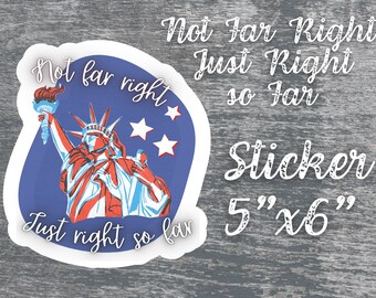 If Standing up for Freedom Burns a Bridge I Have Matches - Etsy