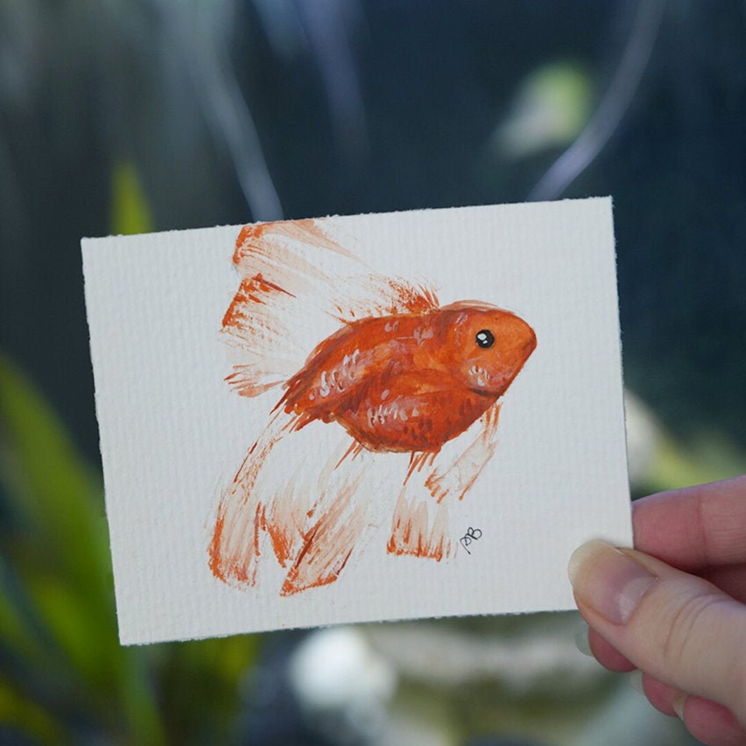 Goldfish Print - Etsy
