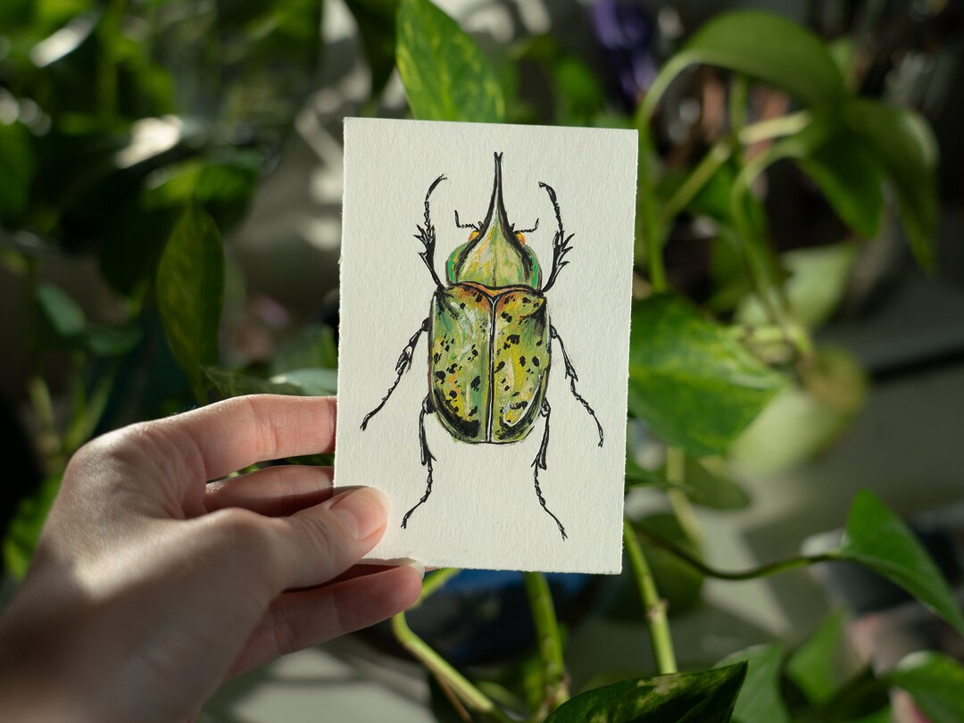 Green Beetle Print - Etsy