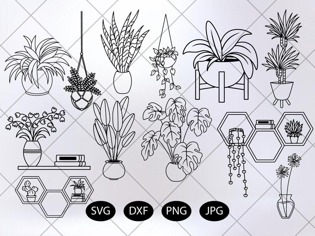 12 Plant Bundle SVG | Hanging Plant Svg, Gardening Silhouette, Leaves ...