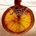 Yule Tree Pomander Ornament: Pagan Holiday Decoration Pentacle Moon ...