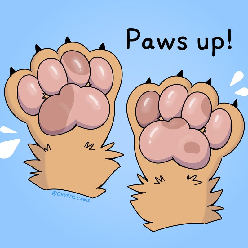 Furry Paws - Etsy
