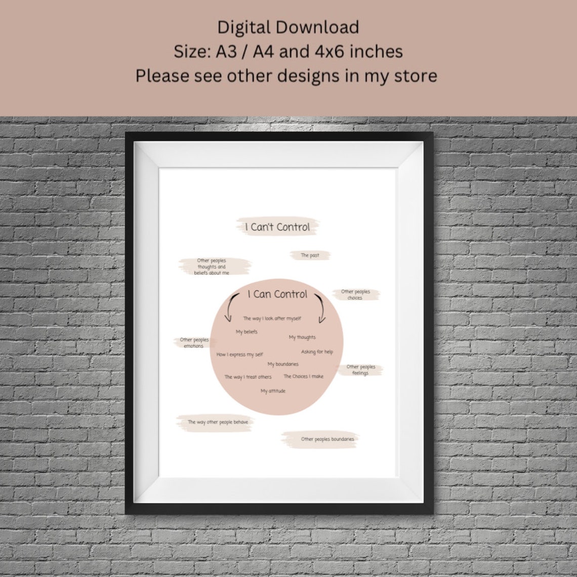 Can and Can't Control Mindset Poster for Social Work, Counselling and ...