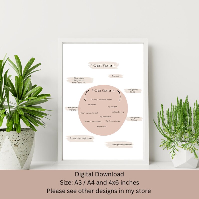 Can and Can't Control Mindset Poster for Social Work, Counselling and ...