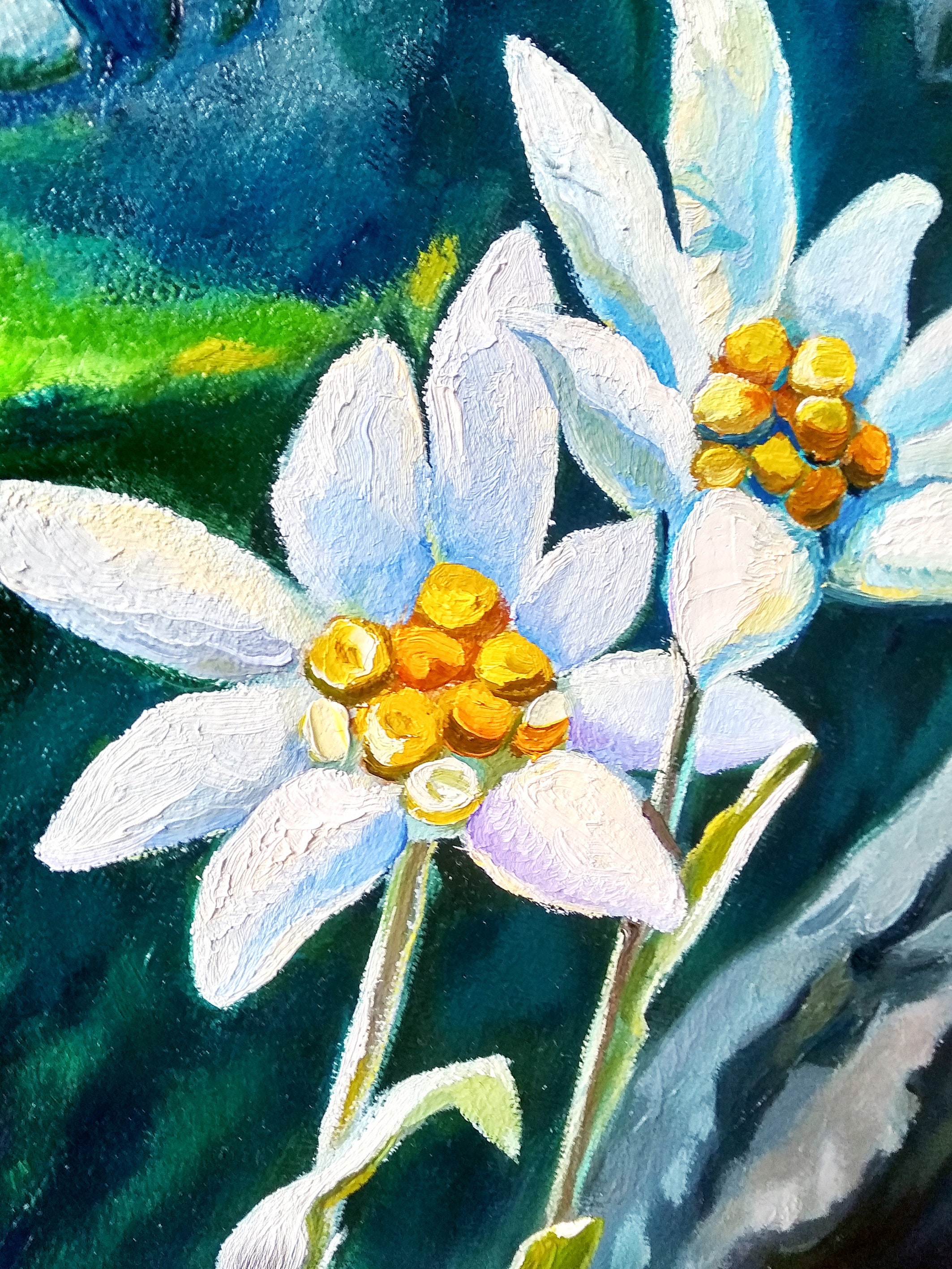 Edelweiss Oil Painting on Canvas White Flowers Painting Mountain ...