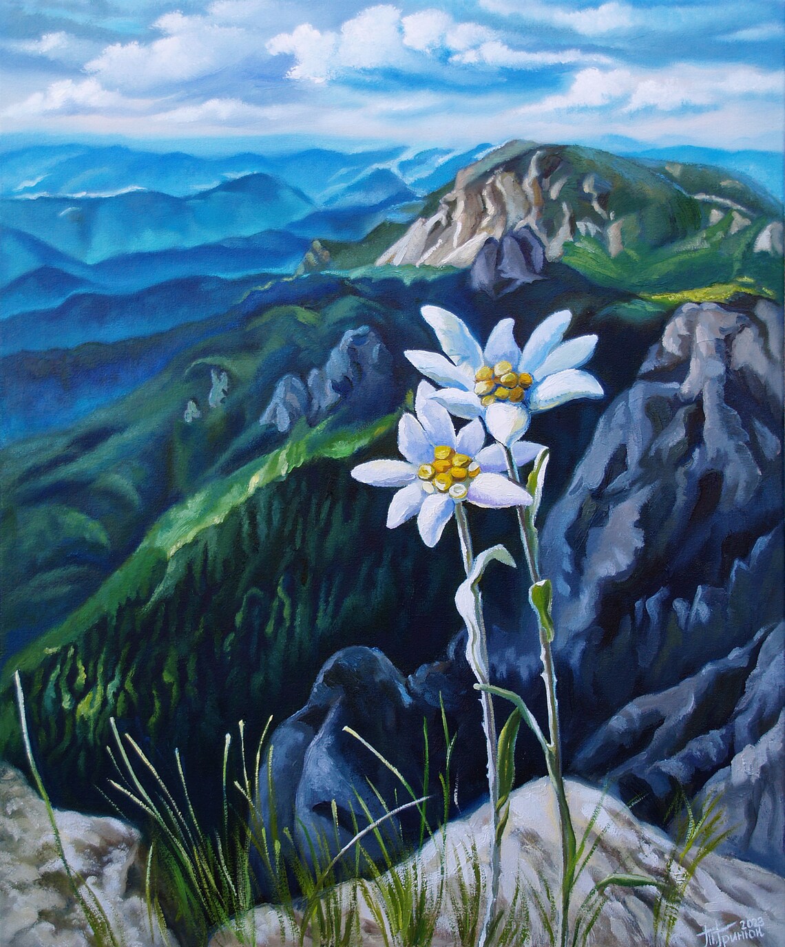 Edelweiss Oil Painting on Canvas White Flowers Painting Mountain ...