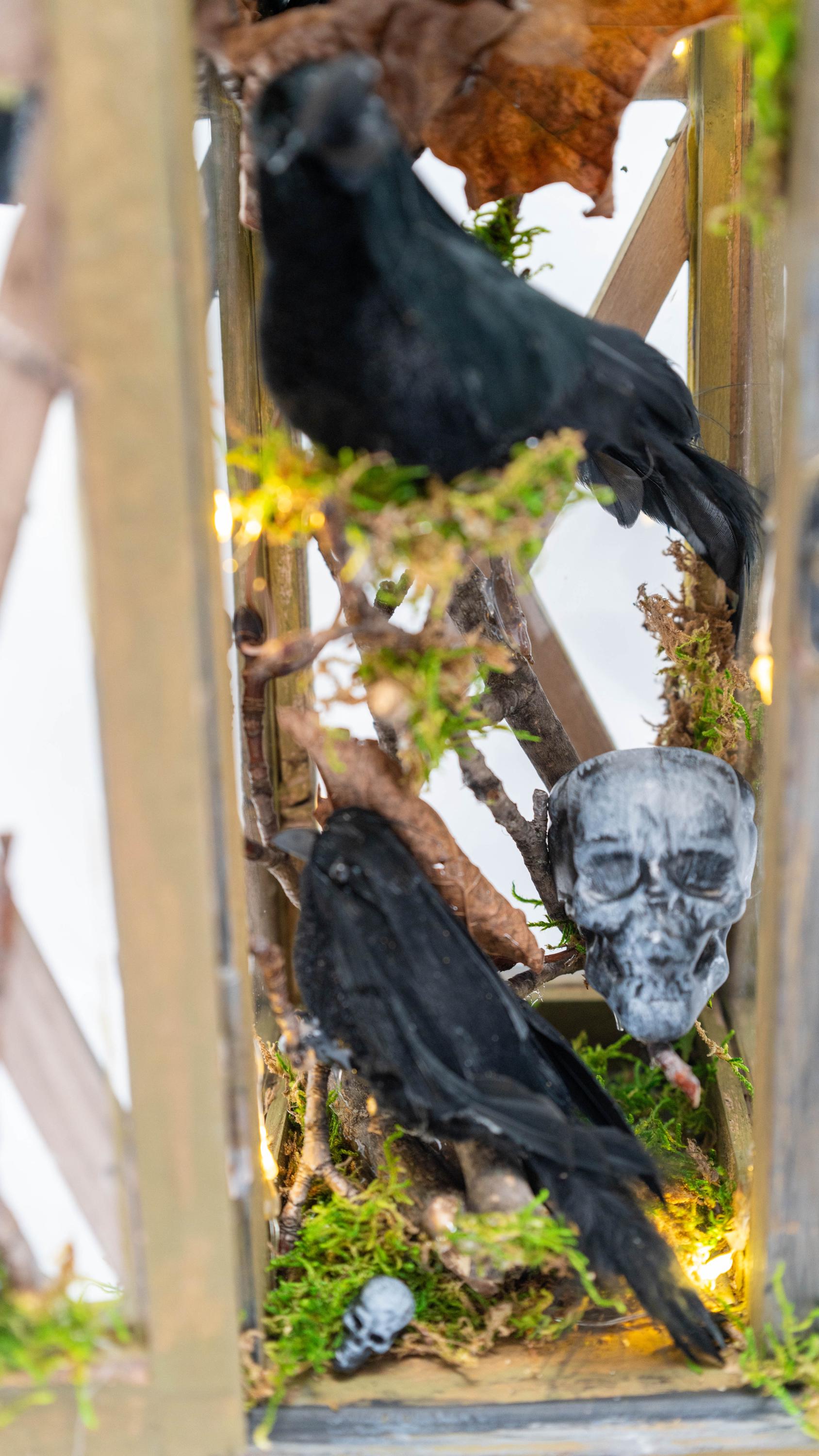 Creepy Lantern With Crows and Lights - Etsy