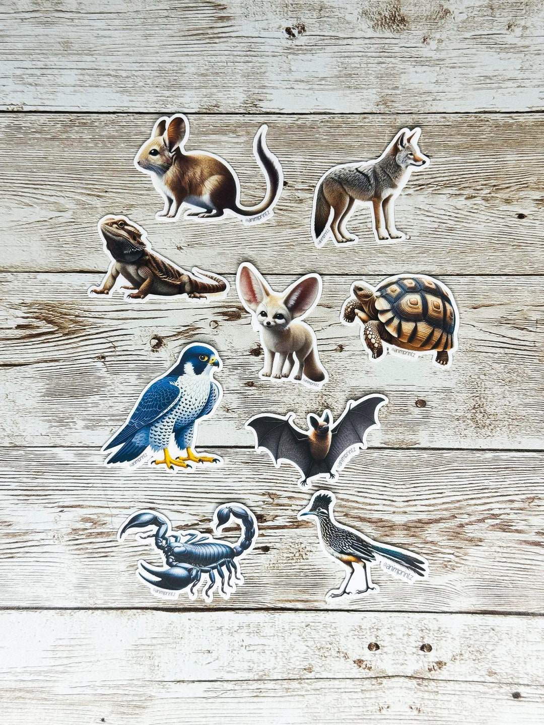 Desert Animals, Matte Vinyl Sticker Pack - Etsy