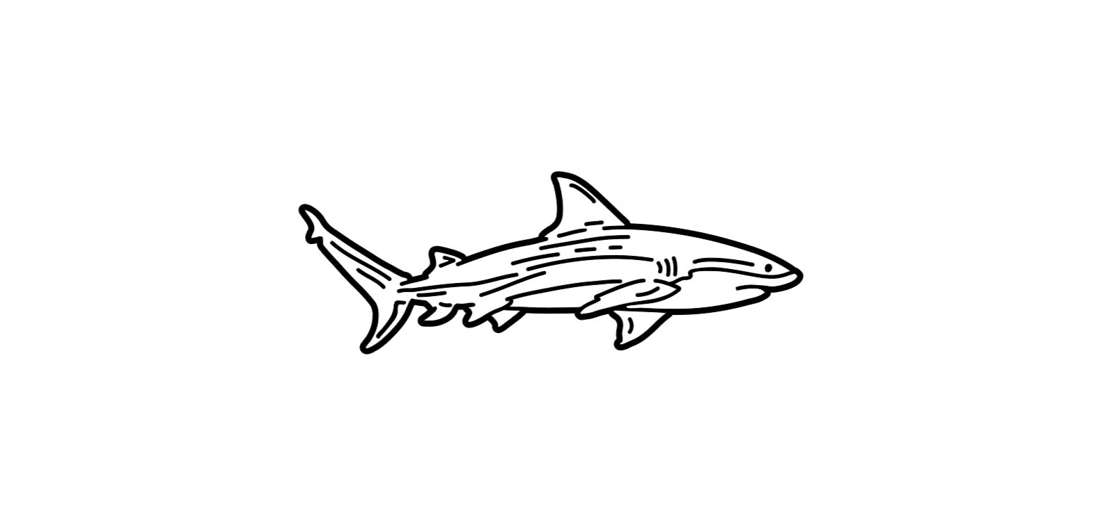 Shark Outline Vinyl Decal - Etsy