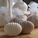 Set of Mini Shell Candles, Wedding Candle Favors for Guests, Details ...