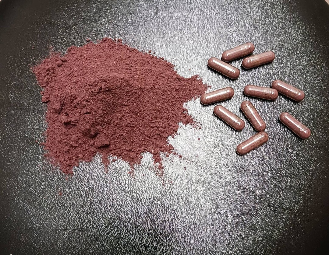 Blueberry (vaccinium Corymbosum, Canadian) Powder or Capsules ...