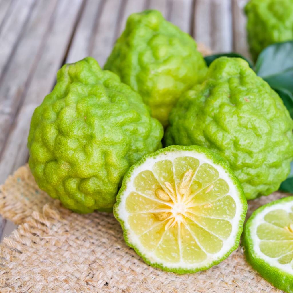 Bergamot Orange Citrus Bergamia Powder Or 1000mg Capsules Etsy