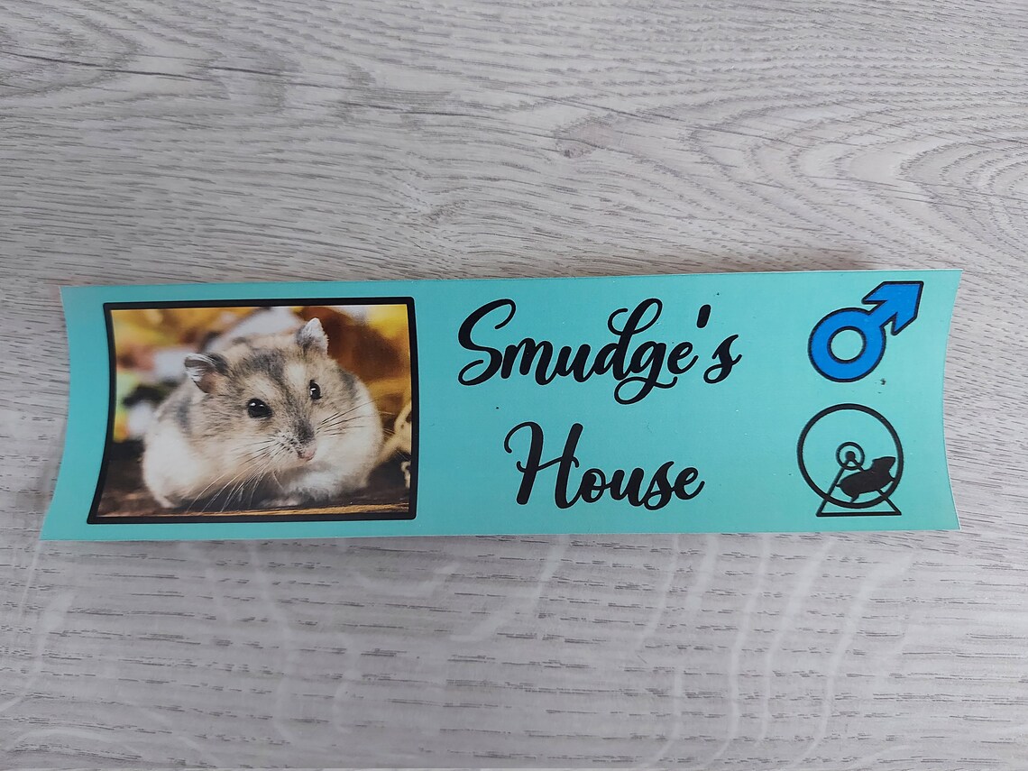 Personalised Hamster / Rodent Name Sticker / Decal | Etsy