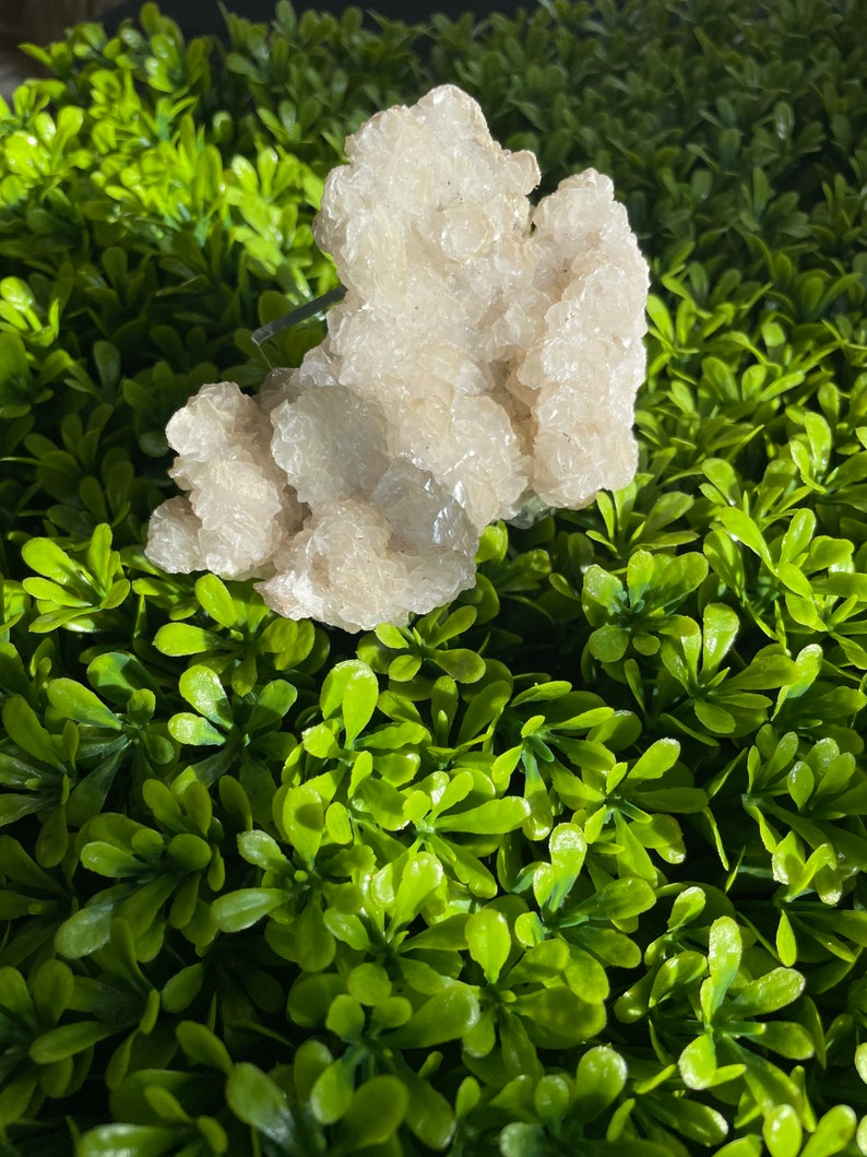 Quartz on Matrix Quartz Flower Freeform Display Crystals Balance Energy ...