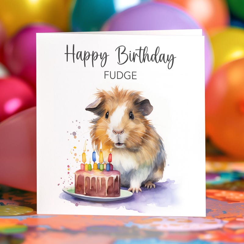 Guinea Pig St - Etsy UK