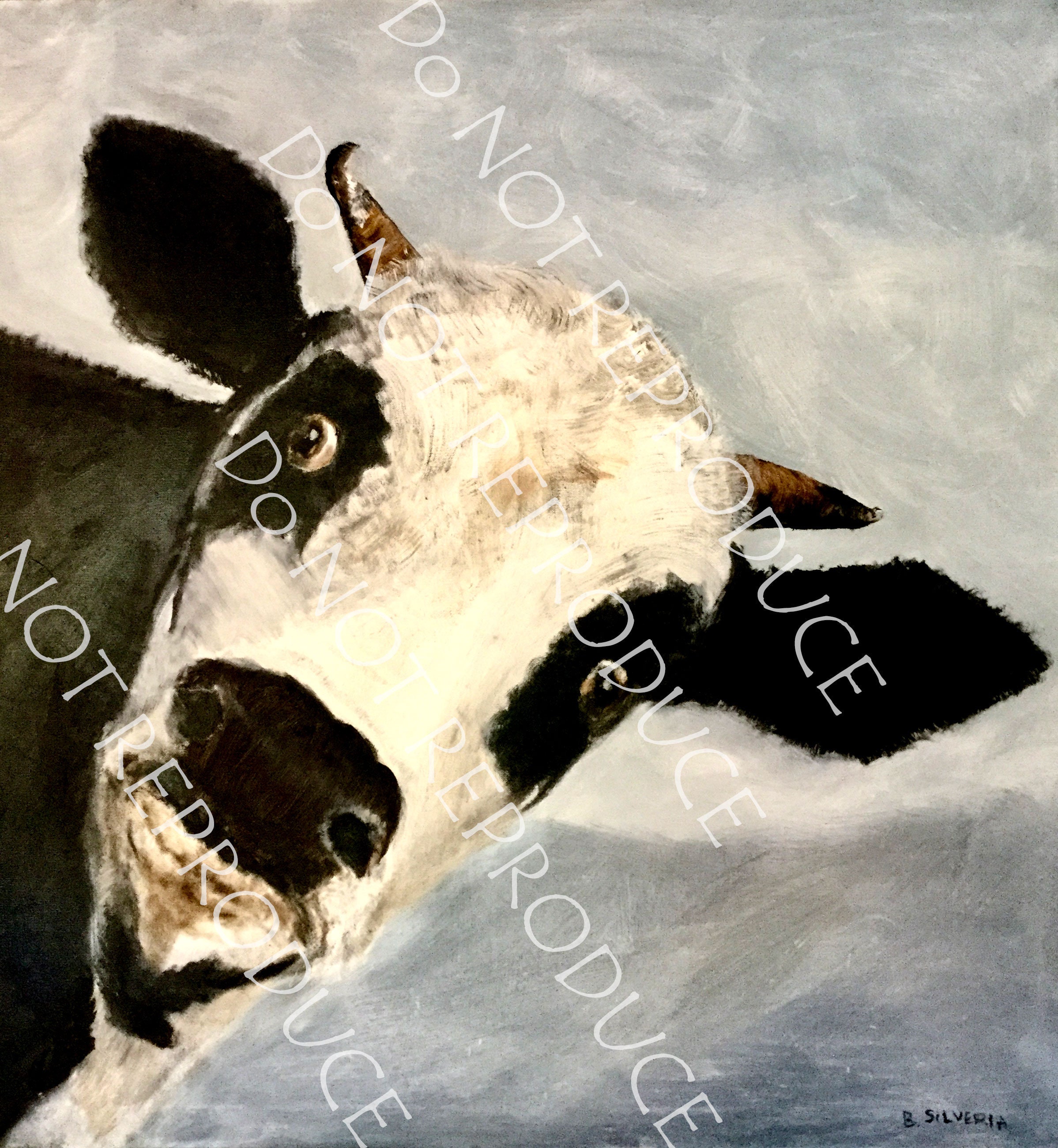 The Indignant Cow High Quality Signed and Numbered Print | Etsy