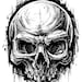 Hand Drawn Skull Line Art Design SVG Illustration Skeleton Head Pencil ...