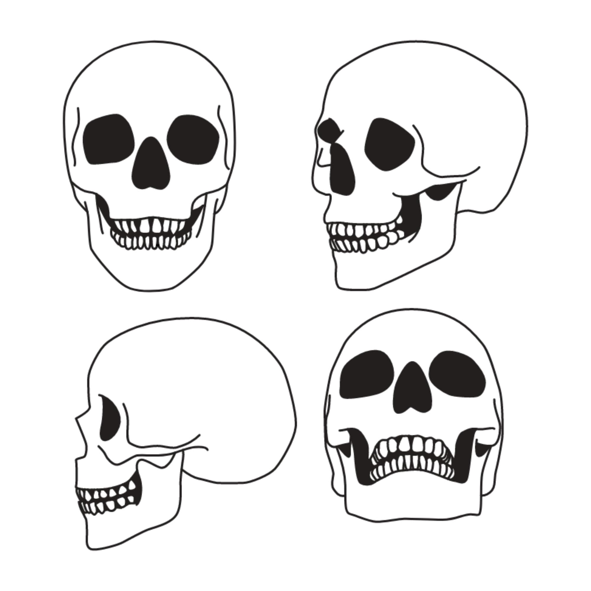 Skull Vector Side