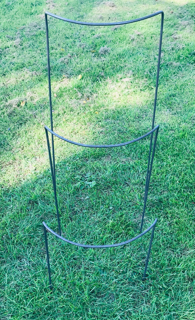 Set of 6 300mm Wide 6mm Metal Plant Supports Mixed Heights. - Etsy