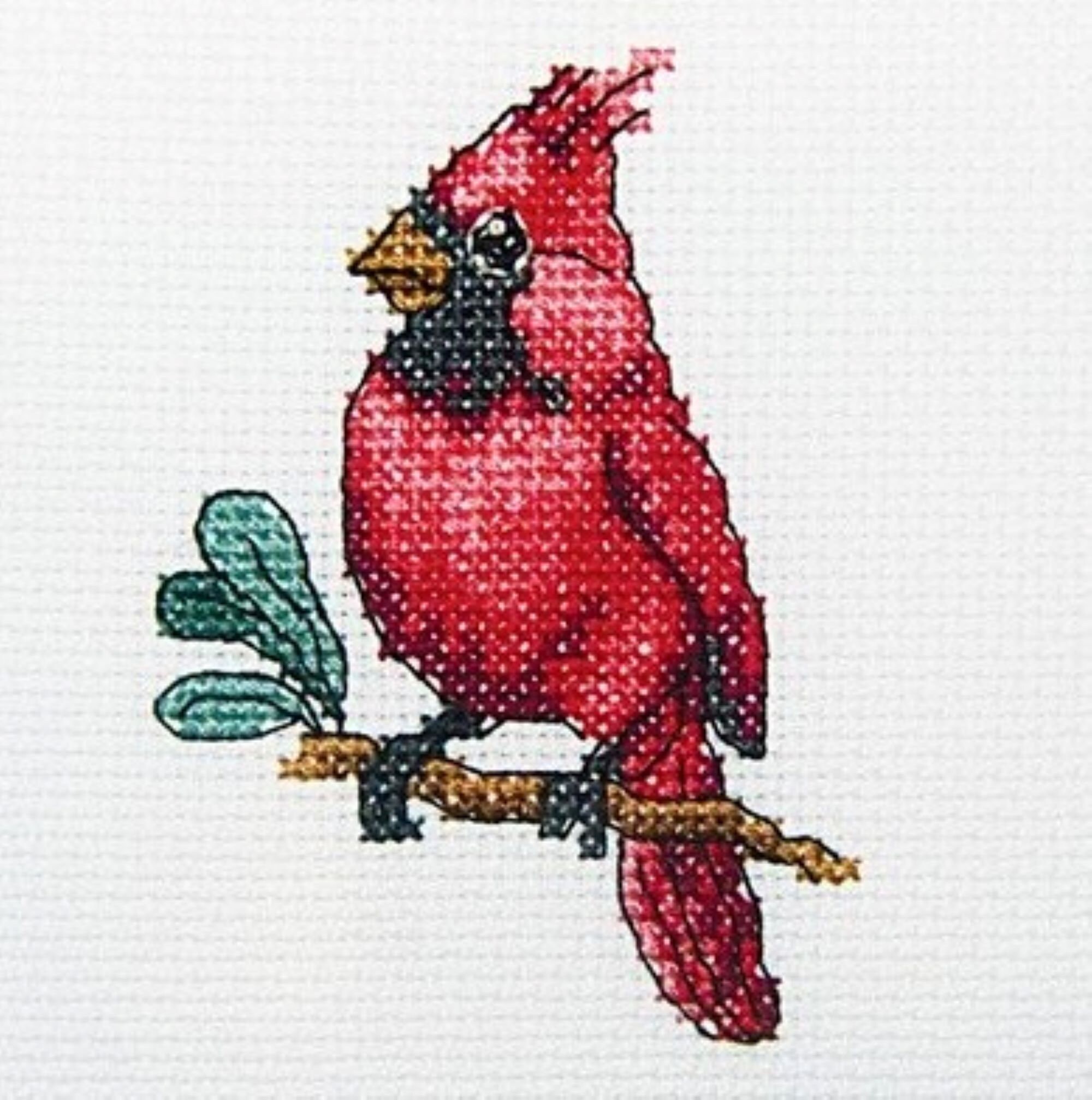 Mini Cross Stitch Kit Bird Counted Cross Stitch Simple Cross | Etsy