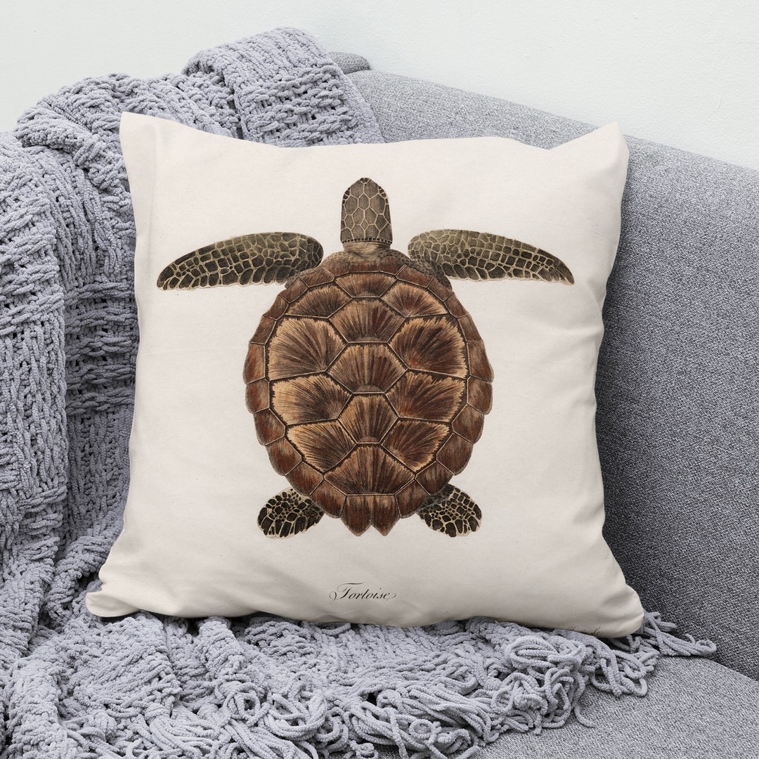 Sea Turtle Throw Pillow Cover James Heath Old Illustration Turtle ...