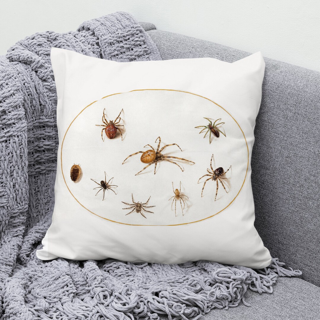 Spider Pillow Cover Retro Art Print, Seven Spiders and an Insect ...