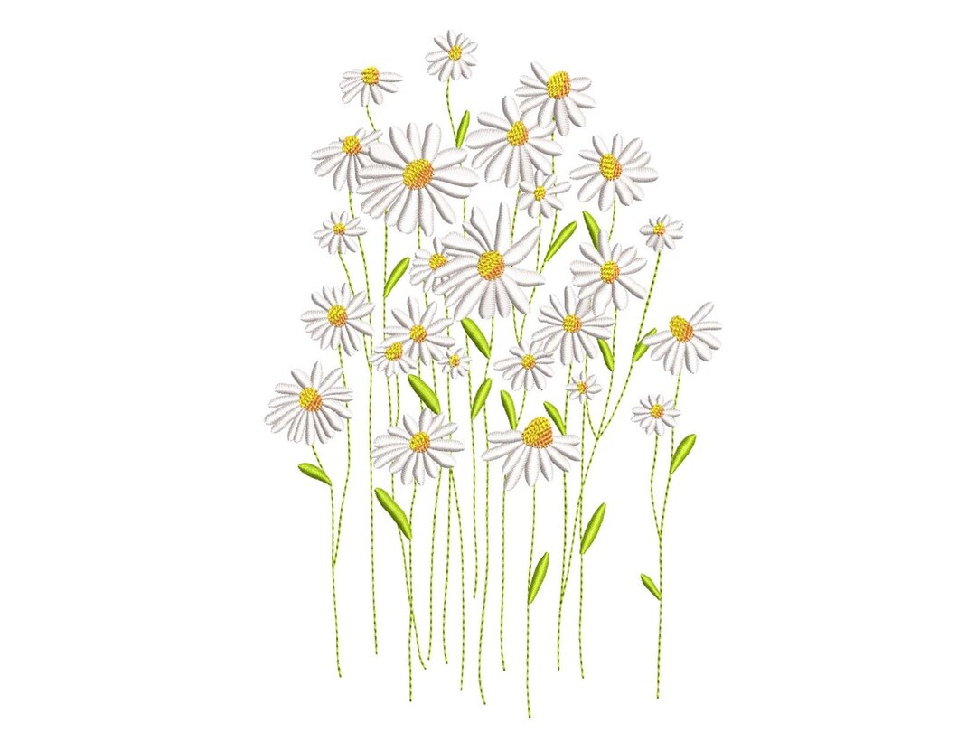 Daisies Embroidery Design, Plant Machine Embroidery File, 5 Sizes - Etsy