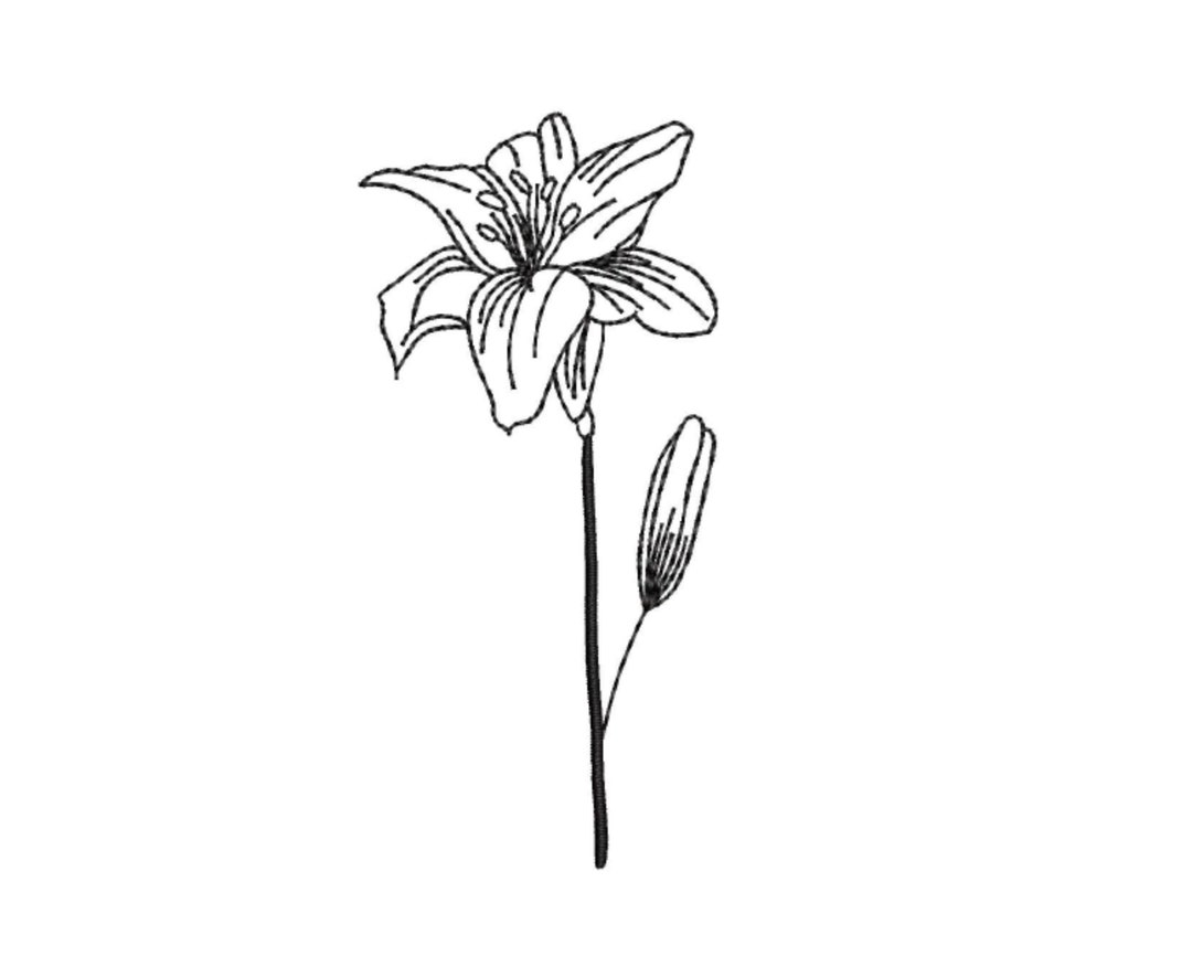 Lily Embroidery Design, Flower Embroidery File - Etsy