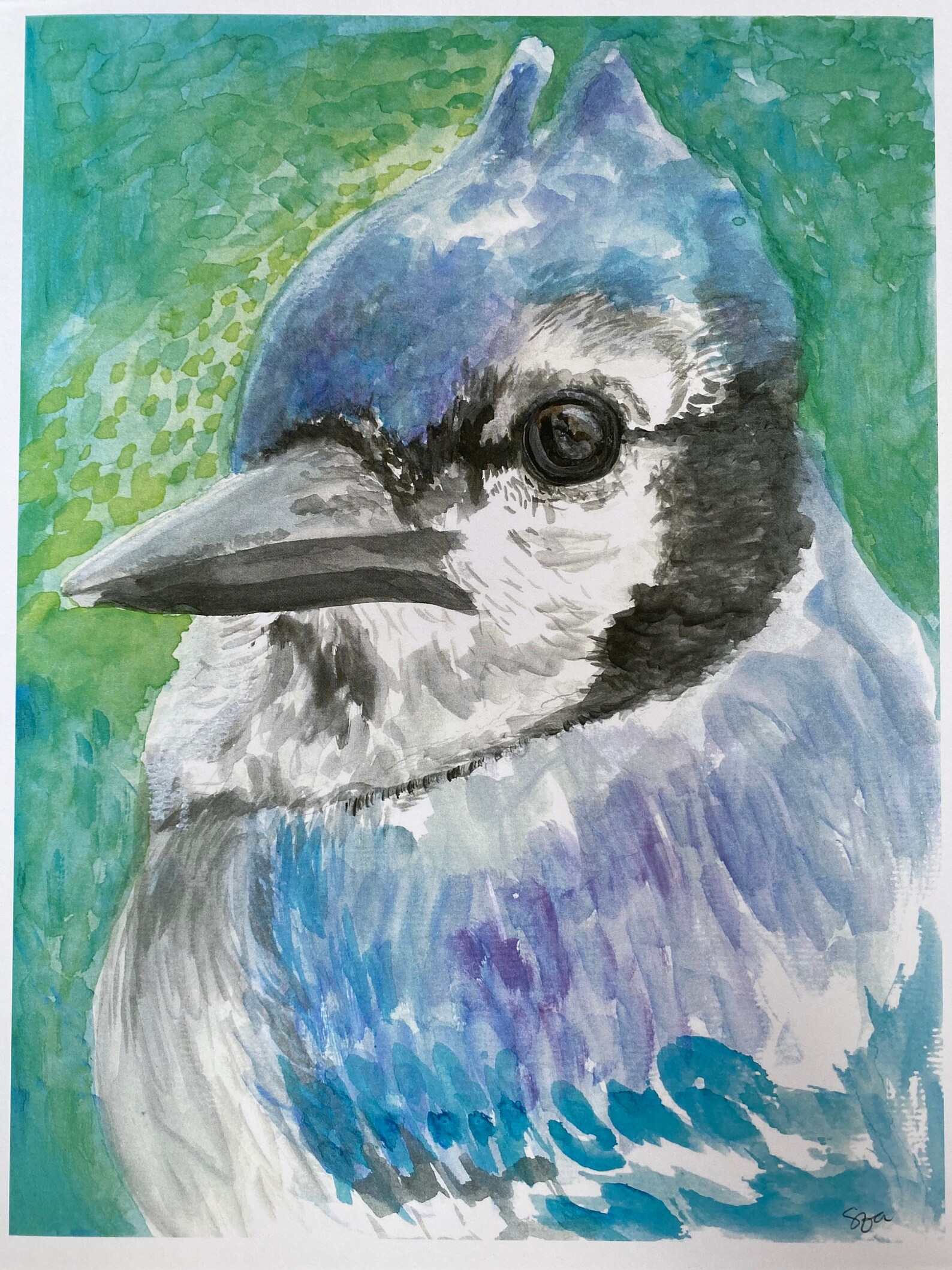 Blue Jay Art - Animal Art - Illustration - Bird Art - Watercolor ...