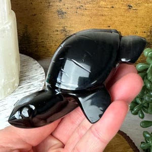 Obsidian Turtle Rocks & Geodes Crystals - Etsy