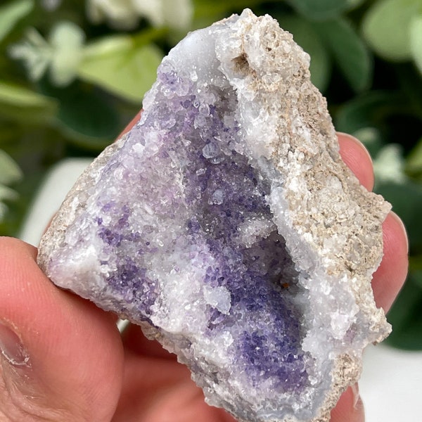 Chalcedony Geode - Etsy