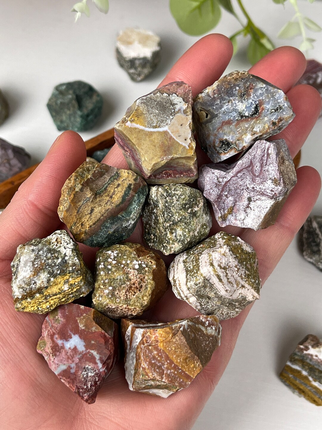 Raw Ocean Jasper Sea Jasper Rough Crystals and Stones - Etsy