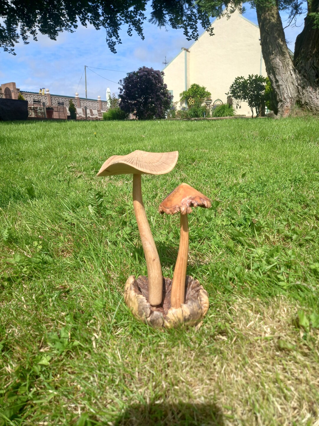 Amazingly Realistic Mushroom Set,carved to a High Standard With ...