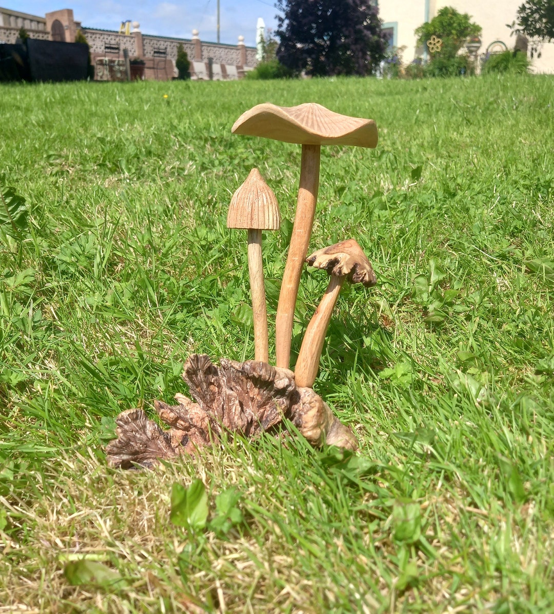 Amazingly Realistic Mushroom Set Carved to a High Standard With ...